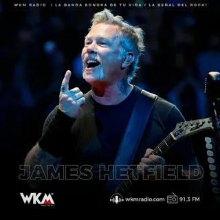 james hetfield triaxis settings