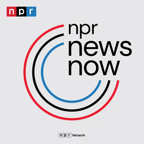 npr logo square