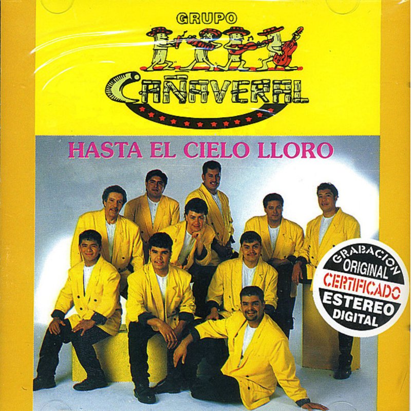 Grupo CaÑaveral Vuelvo A Sentir Lyrics Musixmatch