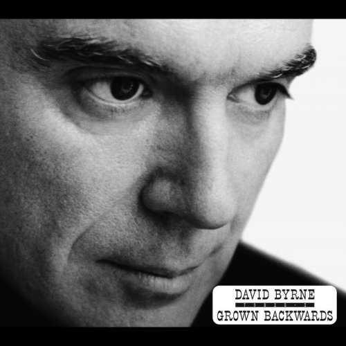 David Byrne - Glass, Concrete & Stone testo | Musixmatch