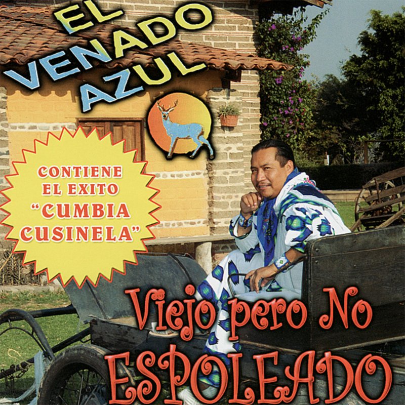 El Venado Azul - Cumbia Cusinela Lyrics | Musixmatch