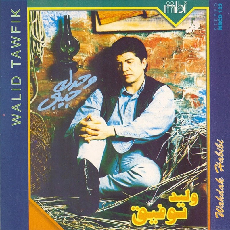 Walid Tawfik - Wahdak Habibi Lyrics | Musixmatch
