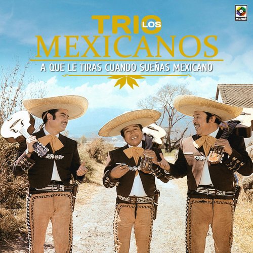 Trio Los Mexicanos - Que Vacilon lyrics | Musixmatch