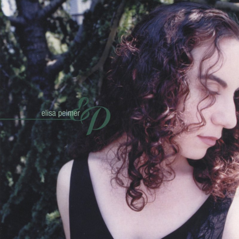 Elisa Peimer - Before You Say Goodbye Lyrics | Musixmatch