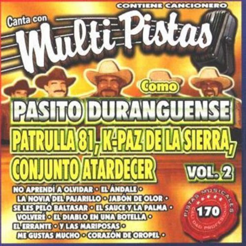 Los Patrulleros - La Novia del Pajarillo lyrics | Musixmatch