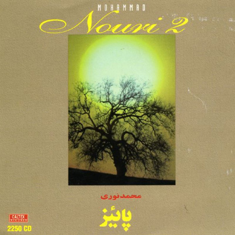 Mohammad Nouri - Setareh Man Lyrics | Musixmatch