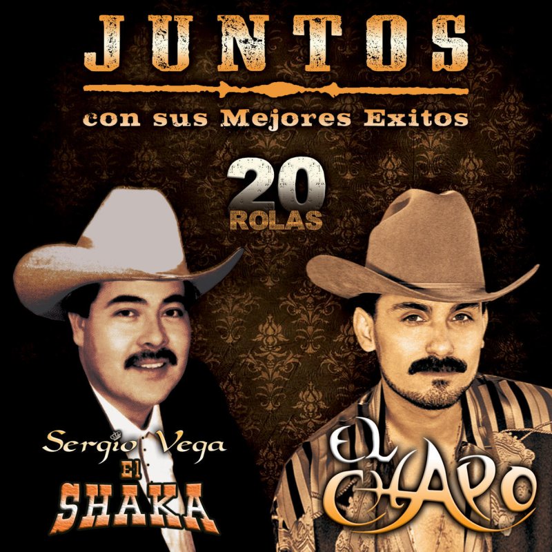 Letra de Esta Triste Guitarra de Sergio Vega "El Shaka" | Musixmatch