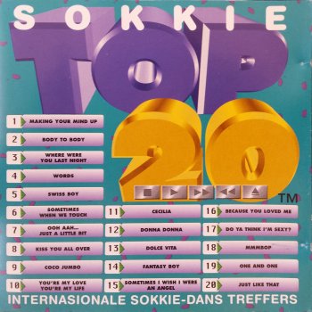 Lou Sern - Swiss Boy lyrics | Musixmatch