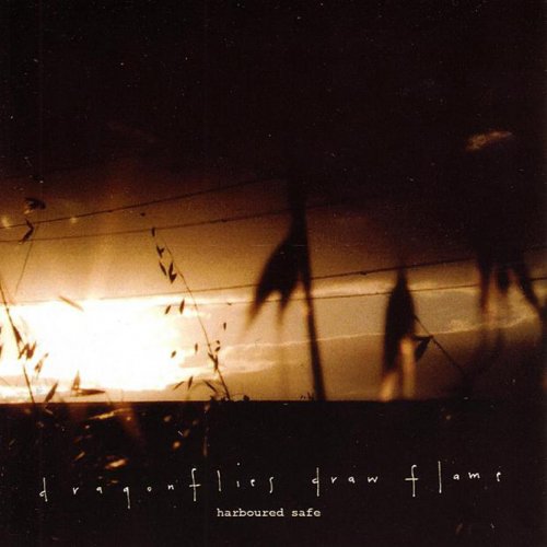Dragonflies Draw Flame - Letras de Cut | Musixmatch
