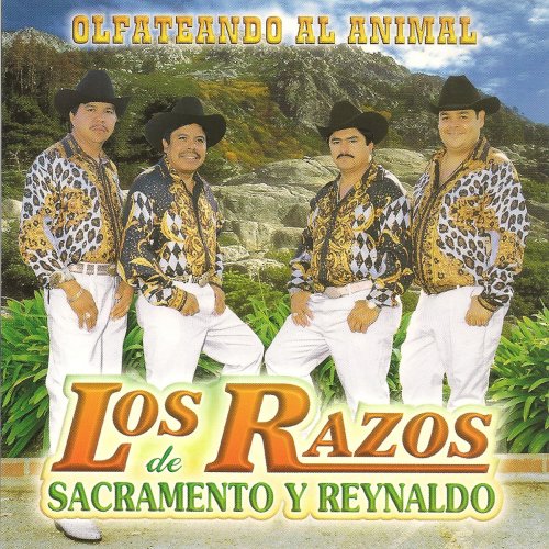 Los Razos - Celebrando Mi Cumpleaños testo | Musixmatch