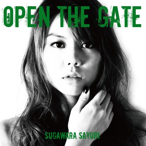 Sayuri Sugawara - いつの日も lyrics translation in Japanese-romaji | Musixmatch