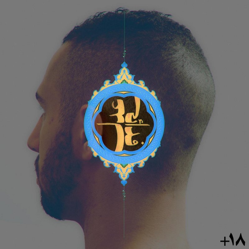 Fadaei feat. Hichkas - Chi Shenidi? (feat. Hichkas) Lyrics | Musixmatch