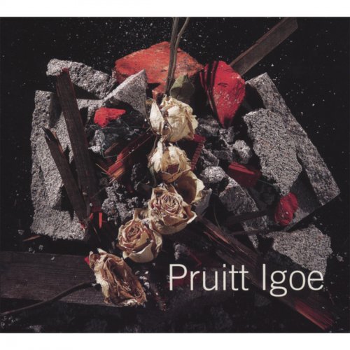 Letra de Pruitt Igoe - Fetal Recognition | Musixmatch