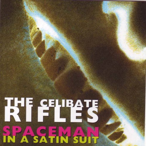 Letra de The Celibate Rifles - Big World | Musixmatch