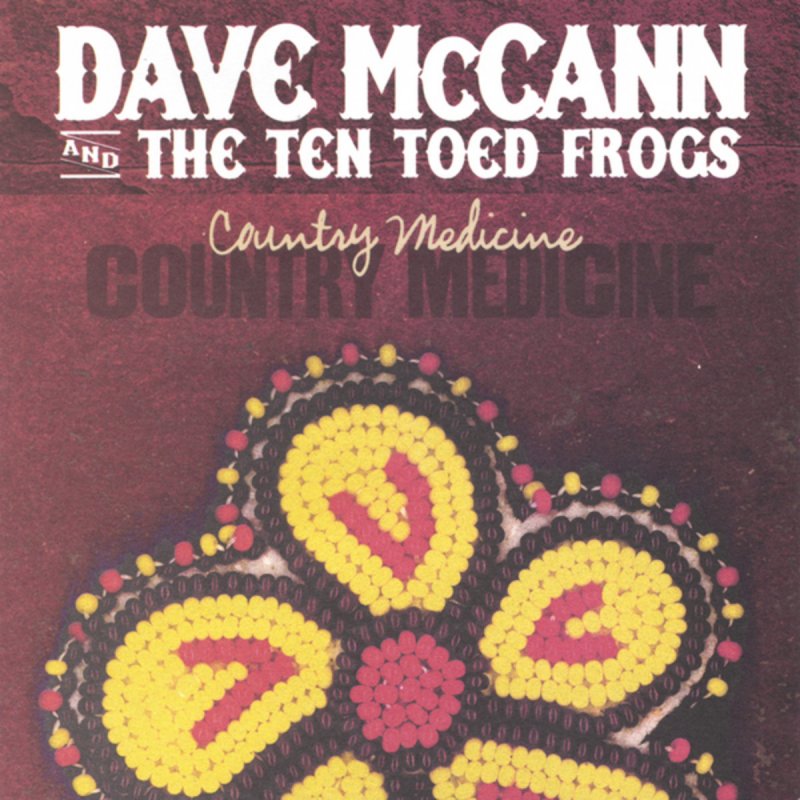Letra de Brokewing Bird de Dave McCann & the Ten Toed Frogs | Musixmatch