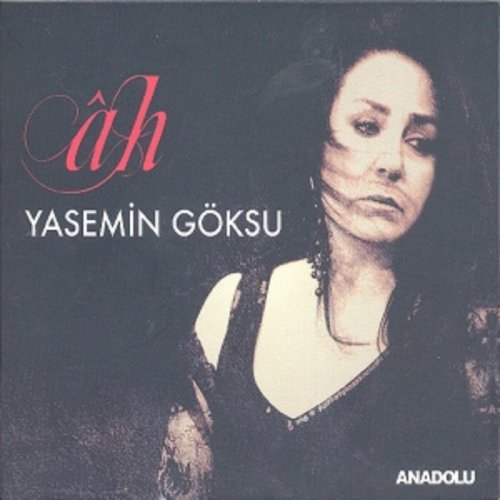 Yasemin Göksu - Hayat Geçer lyrics | Musixmatch