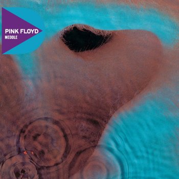 Pink Floyd - Echoes lyrics | Musixmatch