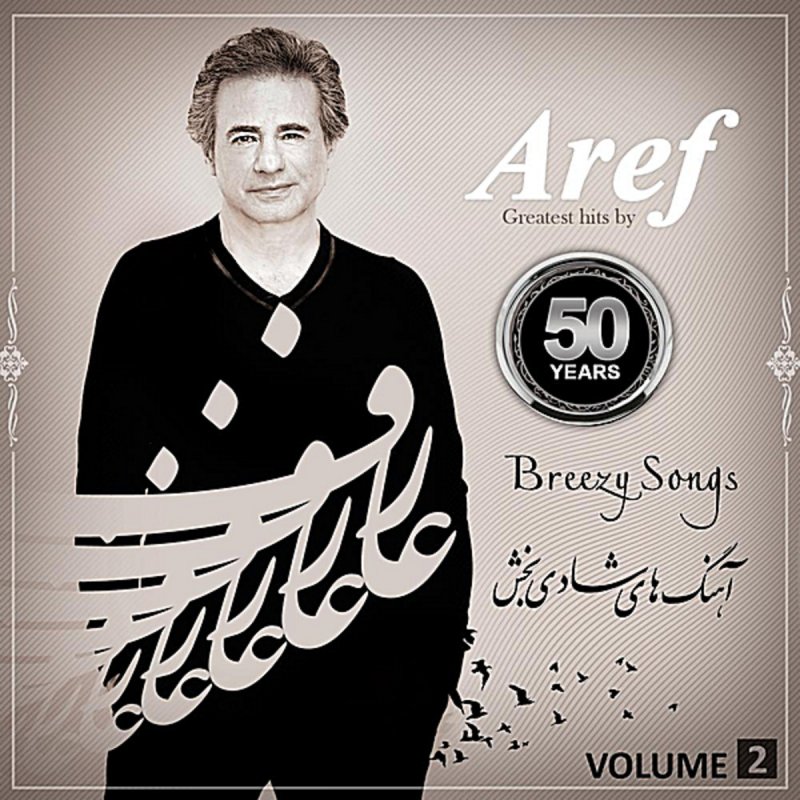 Aref - Hala Kheili Direh Lyrics | Musixmatch