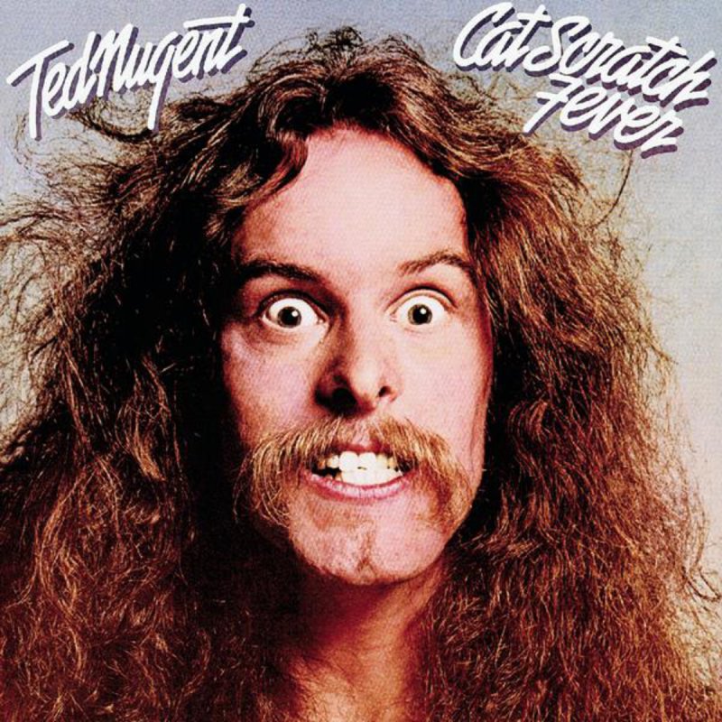 Ted Nugent - Wang Dang Sweet Poontang Lyrics | Musixmatch
