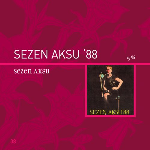 Letra de Sezen Aksu - Sarisin | Musixmatch