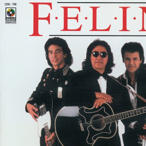 Letra de Felinos - La de Minifalda Negra | Musixmatch