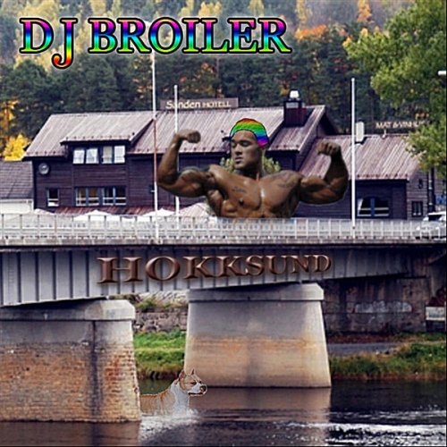 DJ Broiler - Hokksund 歌詞 | Musixmatch
