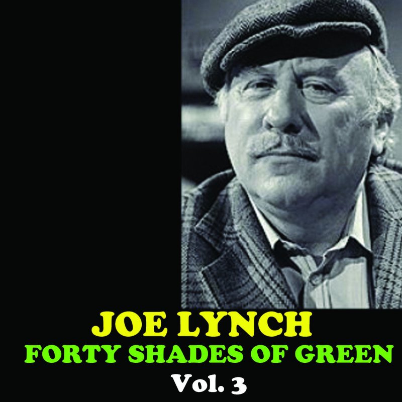 Joe Lynch - Darlin' Girl from Co. Clare Lyrics | Musixmatch