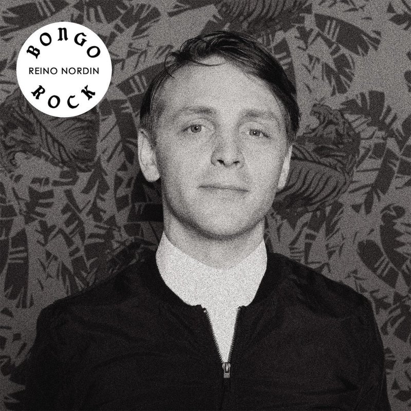 Letra de Parastaikaa de Reino Nordin feat. Stepa | Musixmatch