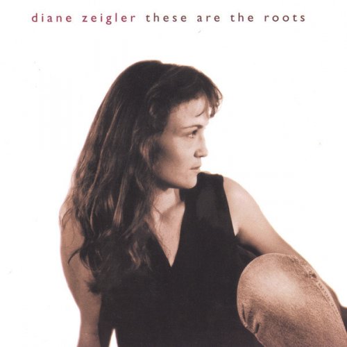 Diane Zeigler - The Winter Sun Lyrics | Musixmatch