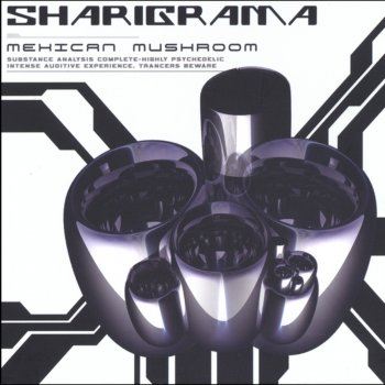 Sharigrama - Magic Land lyrics | Musixmatch