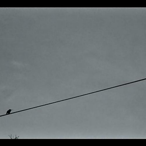 Revis - Fire and Ice Lyrics | Musixmatch