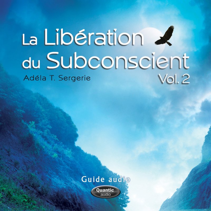 Letra de Réalisation du plan de vie de Alain Lemay | Musixmatch