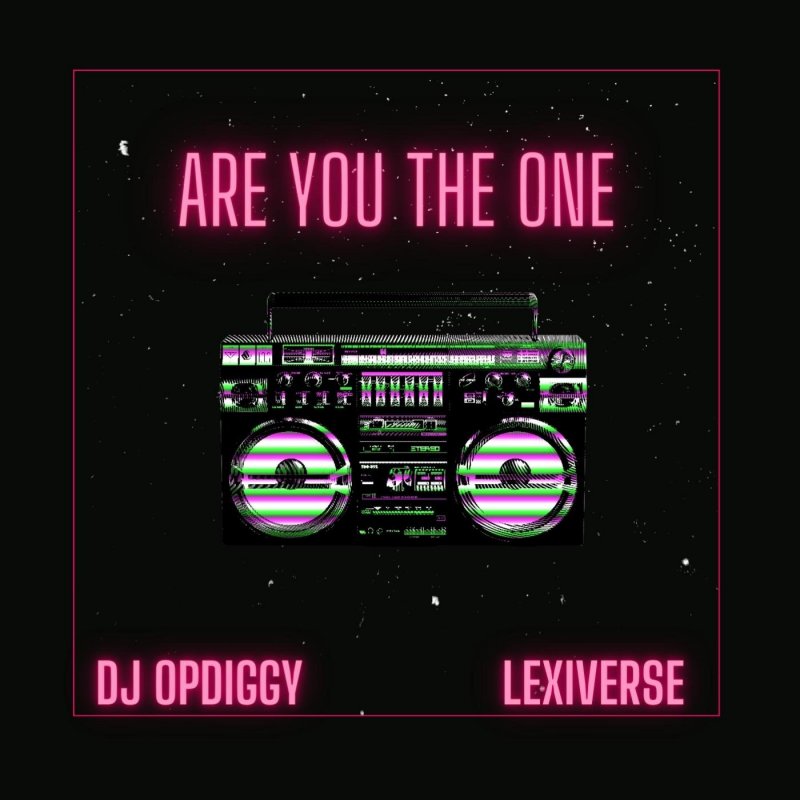 DJ Opdiggy - Are You the One (feat. LexiVerse) Lyrics | Musixmatch