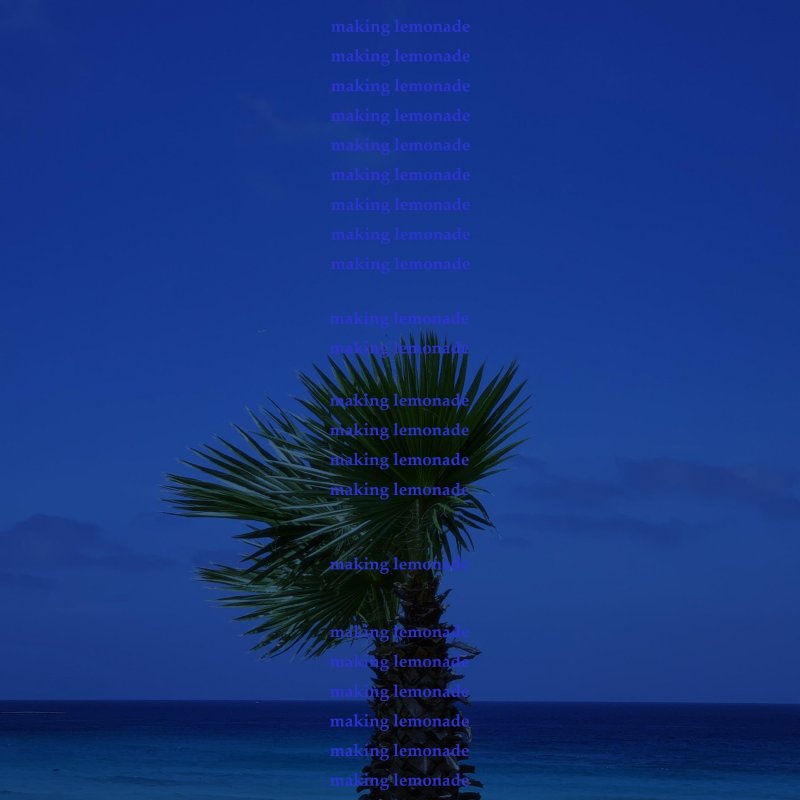 Letra de high flying bird de miro & Bravo | Musixmatch