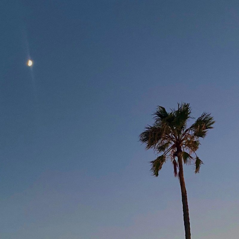 Letra de RALDO de RA feat. Aldo A | Musixmatch