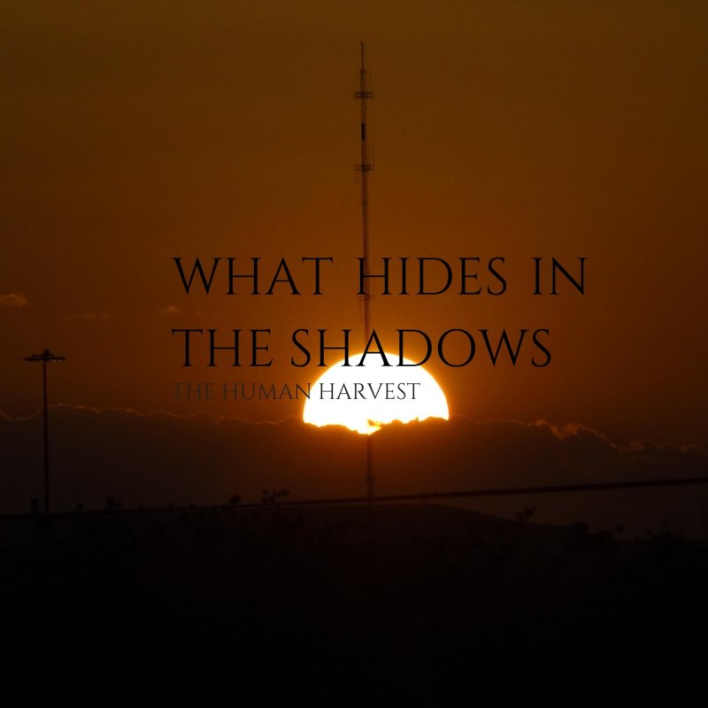 What Hides in the Shadows - Alcohol Lyrics | Musixmatch