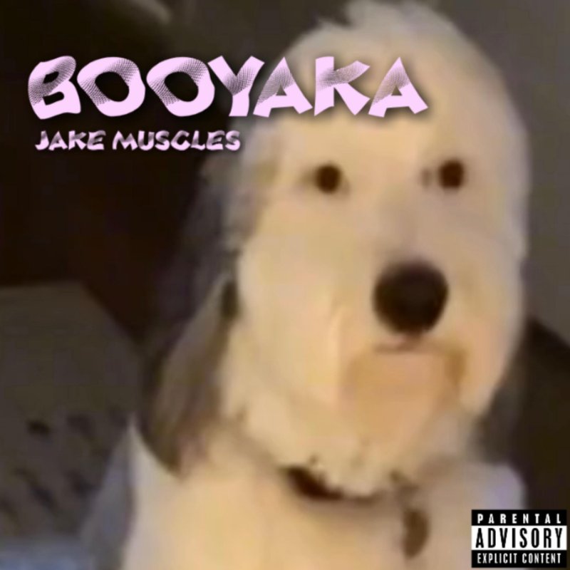 Jake Muscles - Booyaka Lyrics | Musixmatch