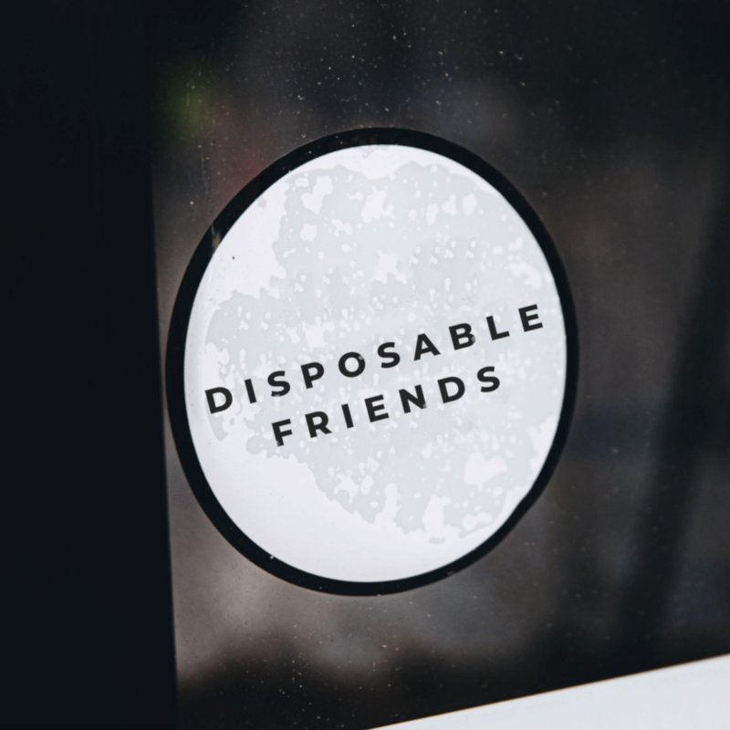 Alice Flowershop - Disposable Friends Lyrics | Musixmatch