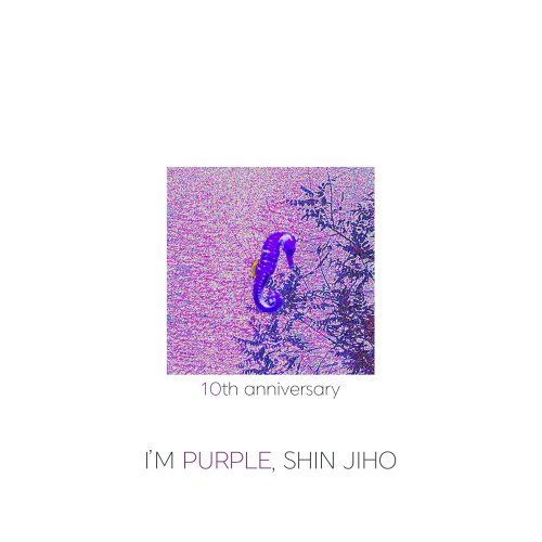신지호 - Island lyrics | Musixmatch