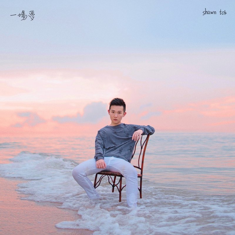 Shawn Tok - 一場夢 Lyrics | Musixmatch