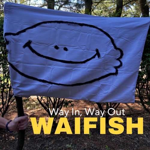 Letra de Waifish - WaveFishes | Musixmatch