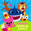 Pinkfong - Baby Shark 의 가사 | Musixmatch