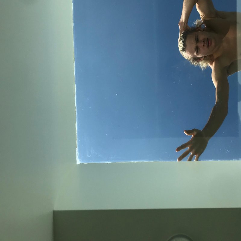 Sam, the Seagull - Sam I Am? Lyrics | Musixmatch