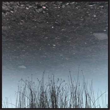 Corn Wave lyrics | Musixmatch