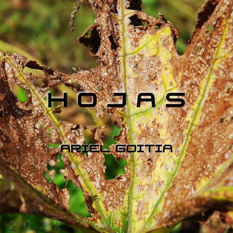 Letra de Hojas de Ariel Goitia | Musixmatch