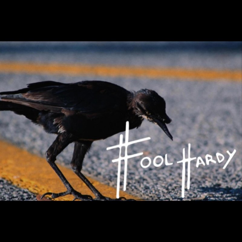 Foolhardy - DESCENDANT Lyrics | Musixmatch