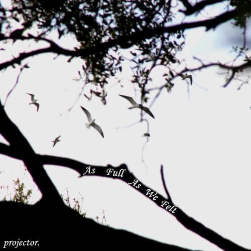 ProJector - The Rooftop lyrics | Musixmatch