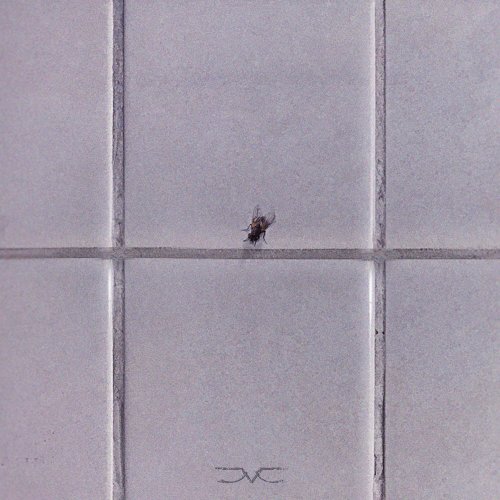 Velho Manco - O Homem E Seu Paletó lyrics | Musixmatch