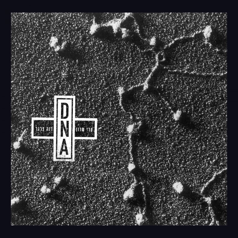 Letra de מעגלים de DNA homebase feat. Adi sharon & Dana Berger | Musixmatch