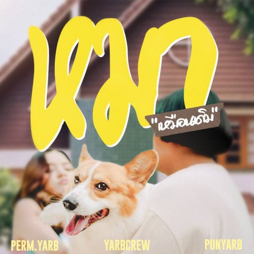 Yarbcrew, PERM.YARB, PUNYARB - หมาเหมือนเดิม (feat. PERM.YARB & PUNYARB ...